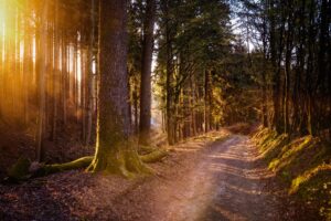 All About the Most Stunning Hiking Trails in Branson, Missouri | Sunset ...